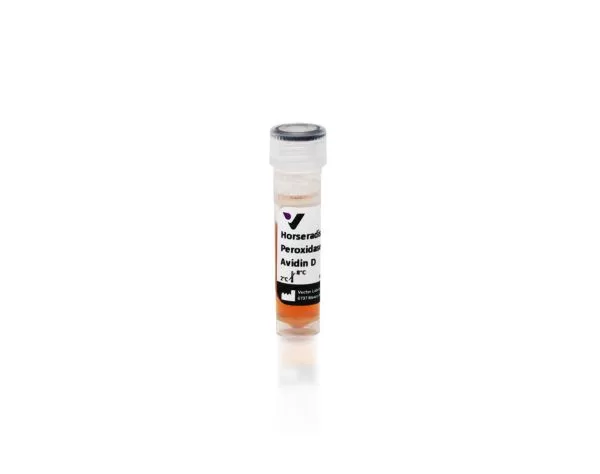 Horseradish Peroxidase Avidin D (Av-HRP), Concentrate, For IHC | Vector ...