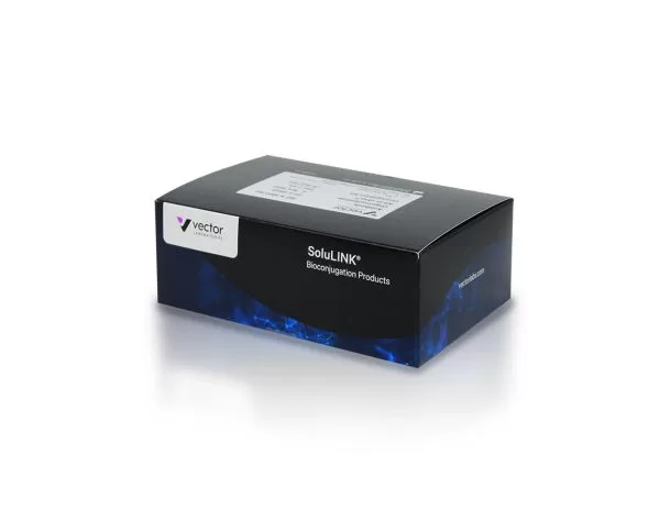 Antibody-Oligonucleotide All-in-One™ Conjugation Kit | Vector Labs