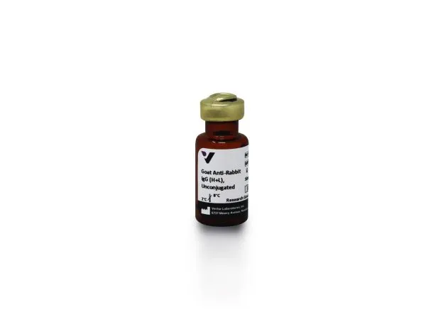 Goat Anti-Rabbit IgG Antibody (H+L), Biotinylated | Vector Labs
