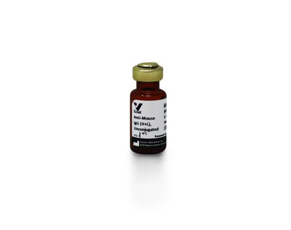 Goat Anti-Rabbit IgG Antibody (H+L), Peroxidase | Vector Labs