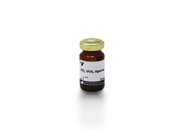 Vicia Villosa Lectin (VVL, VVA), Agarose Bound | Vector Labs