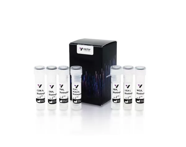 Lectin Kit I, Biotinylated | Vector Labs