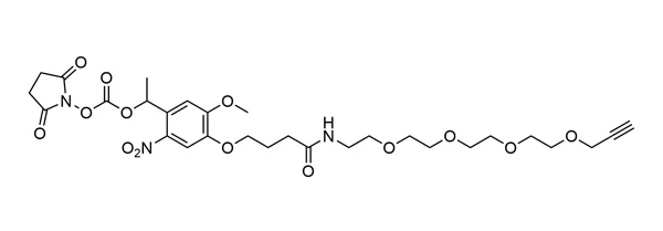 PC Alkyne-NHS Ester | Vector Labs