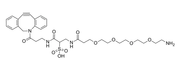 Sulfo DBCO-PEG4-Amine | Vector Labs