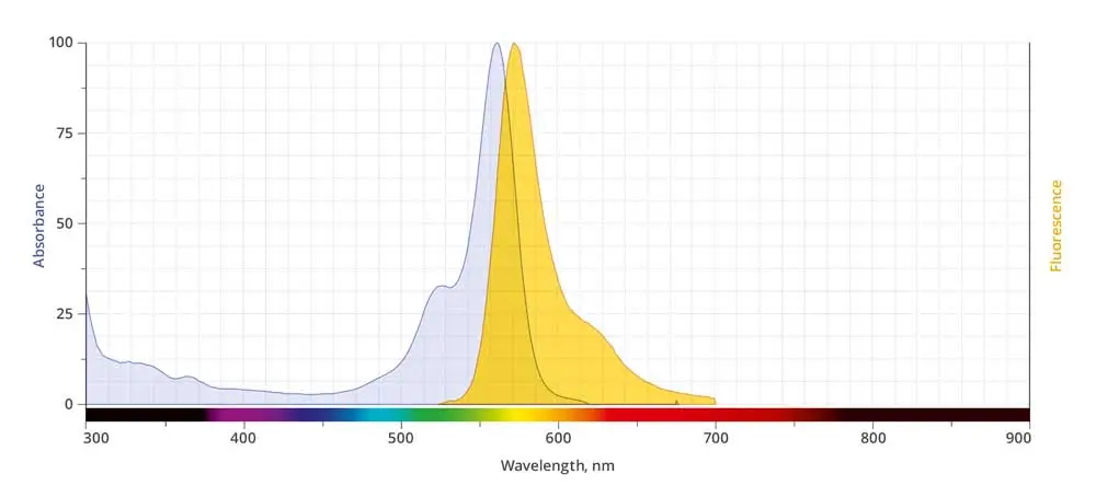 AZDye 546 DBCO | Vector Labs