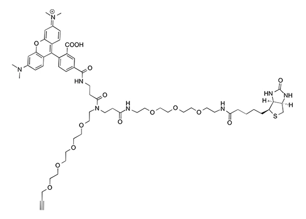 TAMRA Biotin Alkyne | Vector Labs