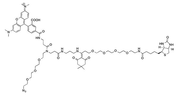 Dde TAMRA Biotin Azide | Vector Labs
