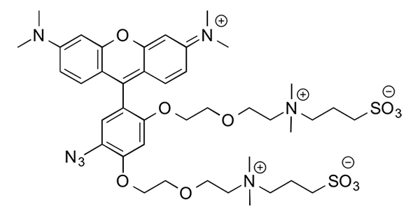 CalFluor 555 Azide | Vector Labs