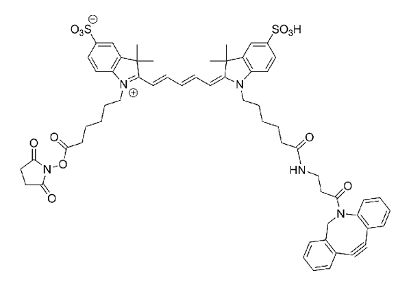 Cy5 DBCO NHS Ester | Vector Labs
