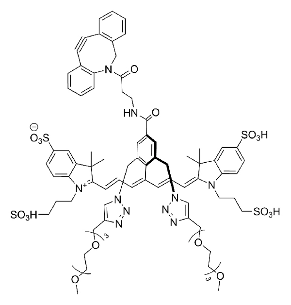 AZDye 800 DBCO | Vector Labs