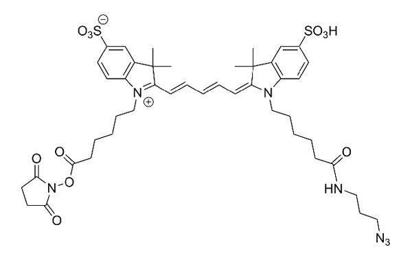 Cy5 Azide NHS Ester | Vector Labs