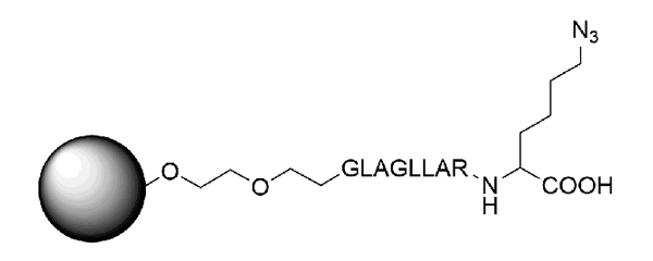 Agarose-GLAGLLAR-Azide | Vector Labs