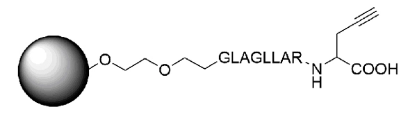Agarose-GLAGLLAR-Alkyne | Vector Labs