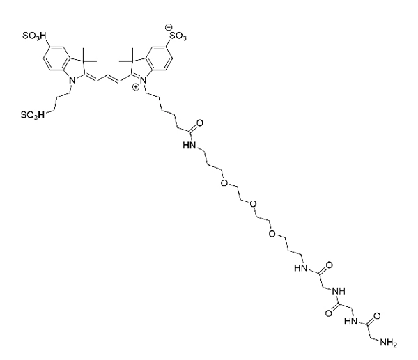 Cy3 Gly-Gly-Gly | Vector Labs