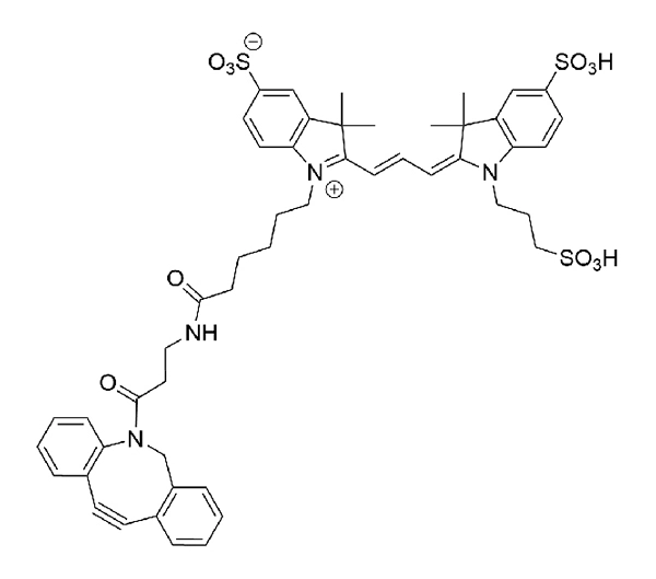 Cy3 DBCO | Vector Labs