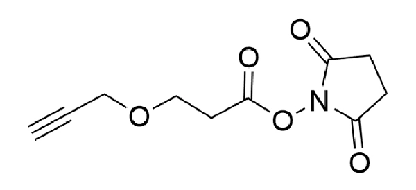 Propargyl-NHS Ester | Vector Labs