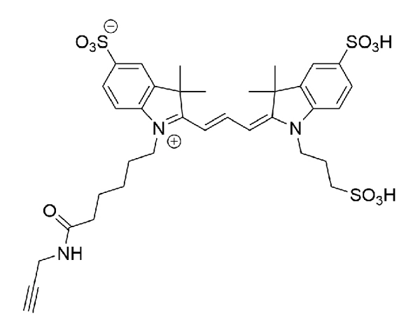 Cy3 Alkyne | Vector Labs