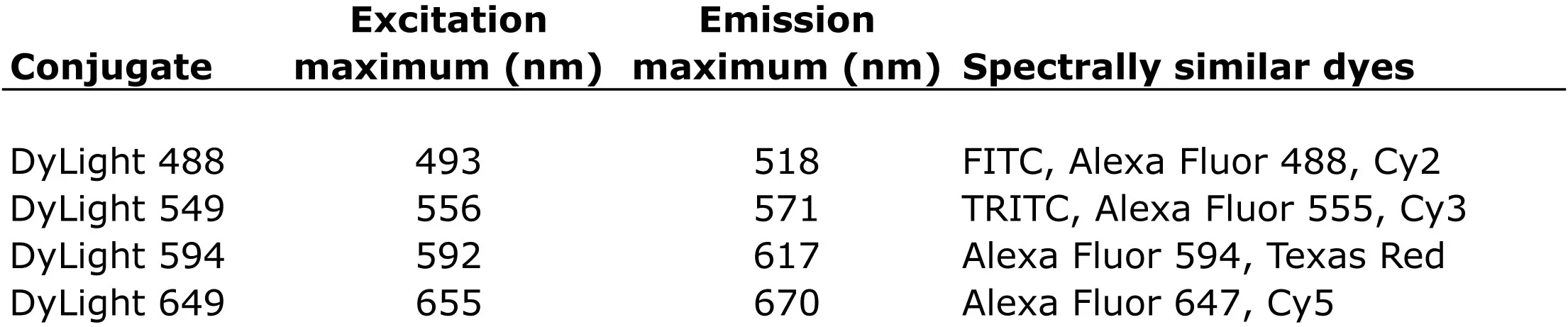Goat Anti-Rabbit IgG Antibody (H+L), DyLight 649 | Vector Labs