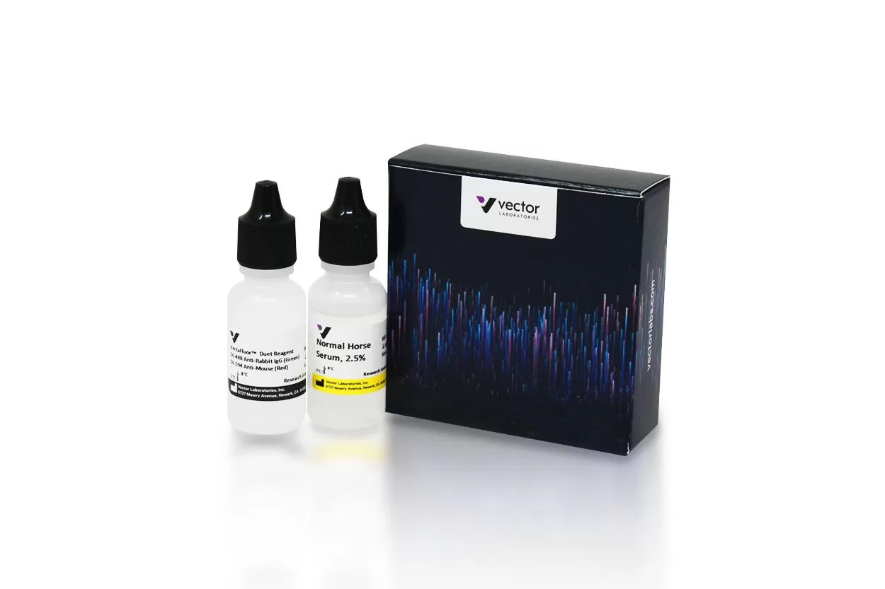 VectaFluor Duet Immunofluorescence Double Labeling Kit, DyLight 488 ...