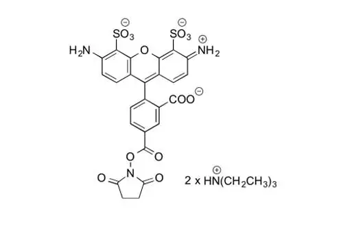 AZDye 488 NHS Ester | Vector Labs