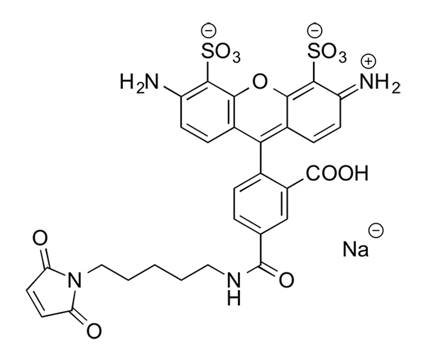 AZDye 488 Maleimide | Vector Labs