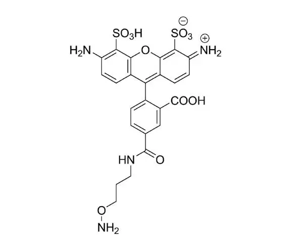 AZDye 488 Hydroxylamine | Vector Labs