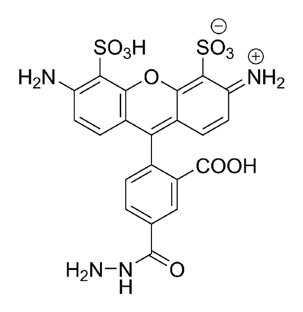 AZDye 488 Hydrazide | Vector Labs