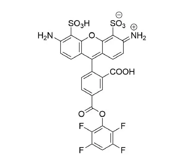 AZDye 488 TFP Ester | Vector Labs