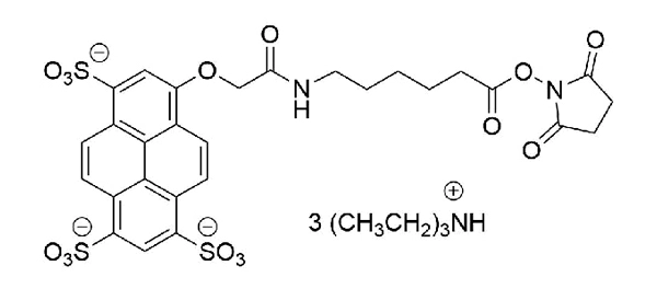 AZDye 405 NHS Ester | Vector Labs