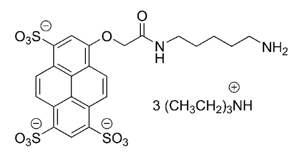AZDye 405 Cadaverine | Vector Labs