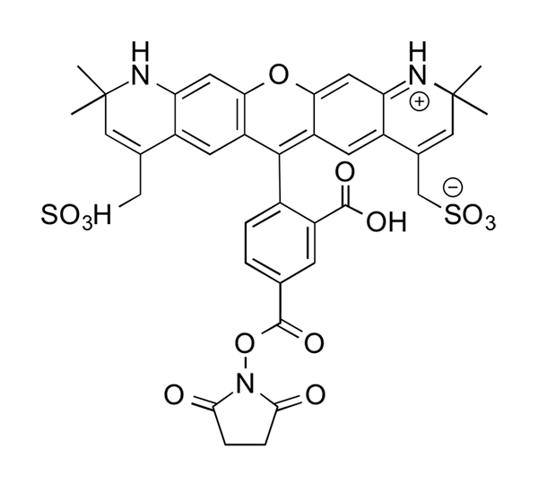 AZDye 568 NHS Ester | Vector Labs