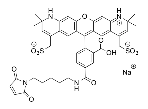AZDye 568 Maleimide | Vector Labs