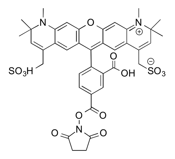 AZDye 594 NHS Ester | Vector Labs