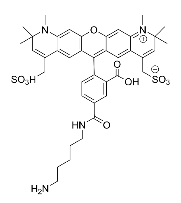AZDye 594 Cadaverine | Vector Labs