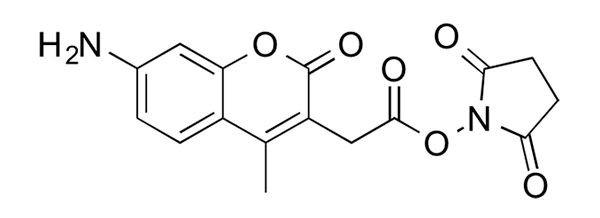 AMCA NHS Ester | Vector Labs