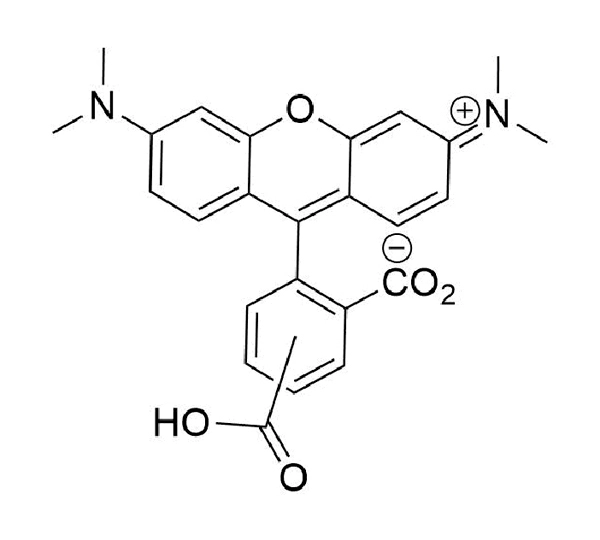 5(6)-TAMRA Acid | Vector Labs