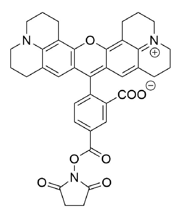 5-ROX NHS Ester | Vector Labs