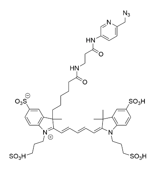 Cy3 Acid | Vector Labs