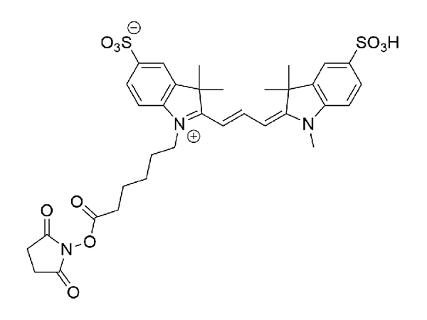 Cy3 NHS Ester | Vector Labs