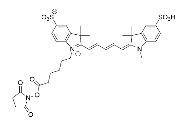 Cy5 NHS Ester | Vector Labs
