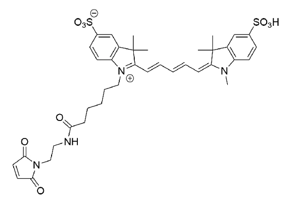 Cy5 Maleimide | Vector Labs
