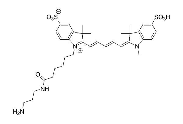 Cy5 Amine | Vector Labs