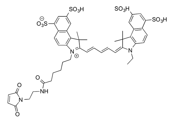 Cy5.5 Maleimide | Vector Labs