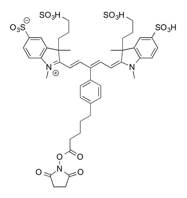IR 650 NHS Ester | Vector Labs