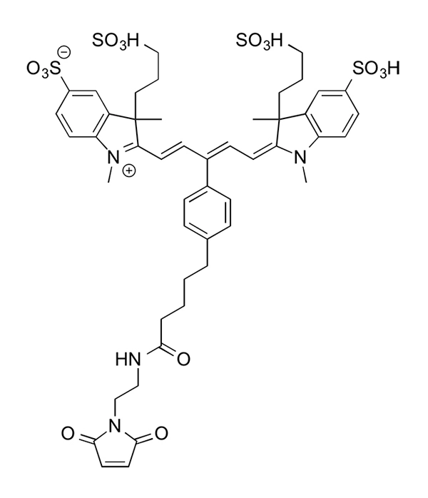 IR 650 Maleimide | Vector Labs