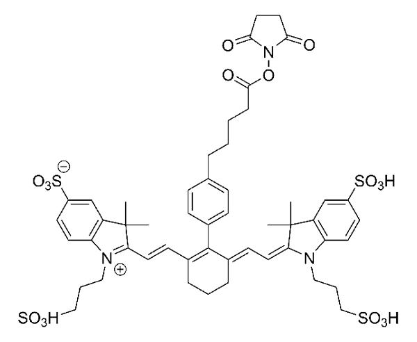 Cy7 NHS Ester | Vector Labs