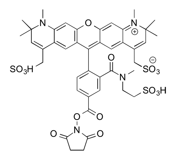 MB 594 NHS Ester | Vector Labs