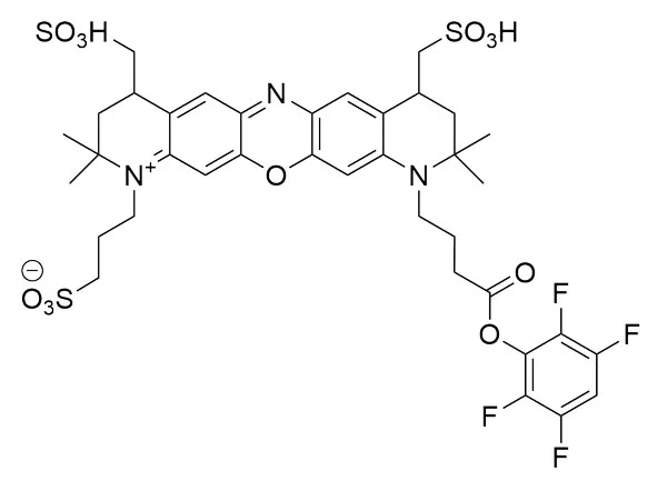 MB 660R TFP Ester | Vector Labs