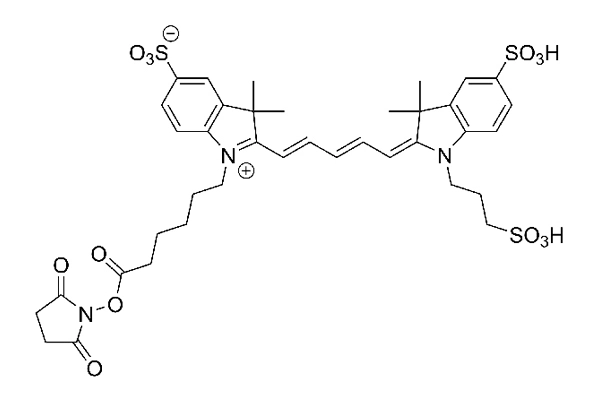 Sulfo-Cy5 NHS Ester | Vector Labs