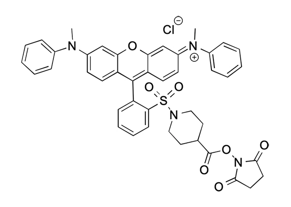 SY-7 NHS Ester | Vector Labs